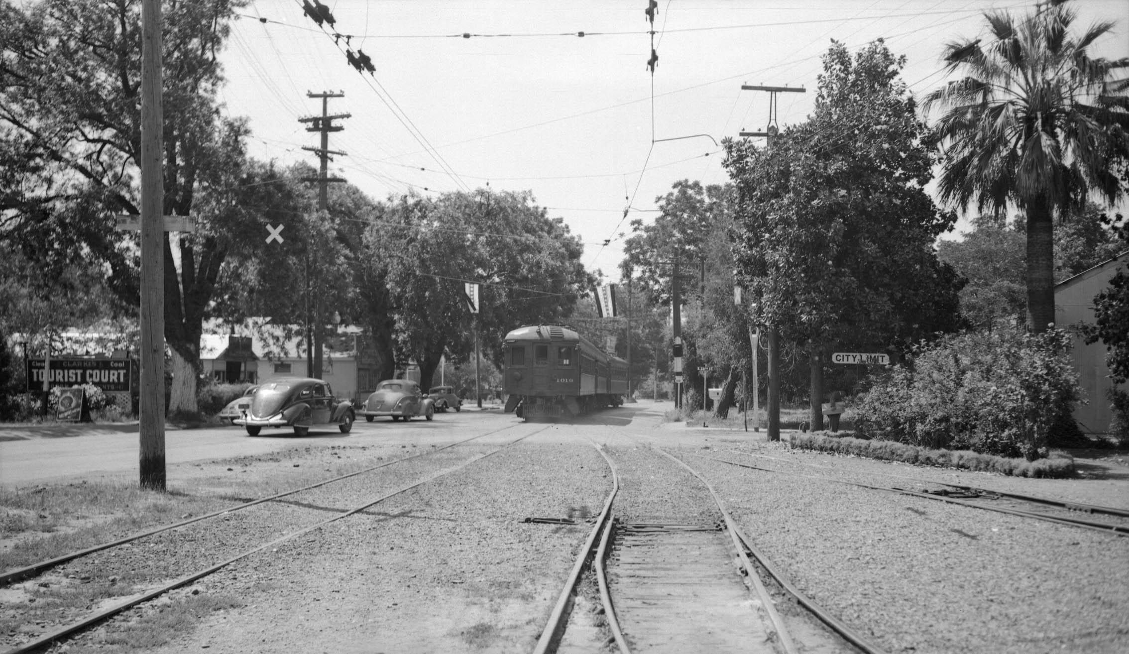 And to Think That I Saw it in Mulberry Yard - East Bay Hills Project